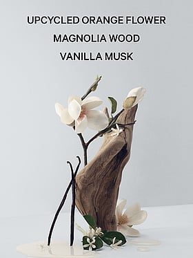 Perfume – Victoria’s Secret Bombshell, Bare Vanilla & More